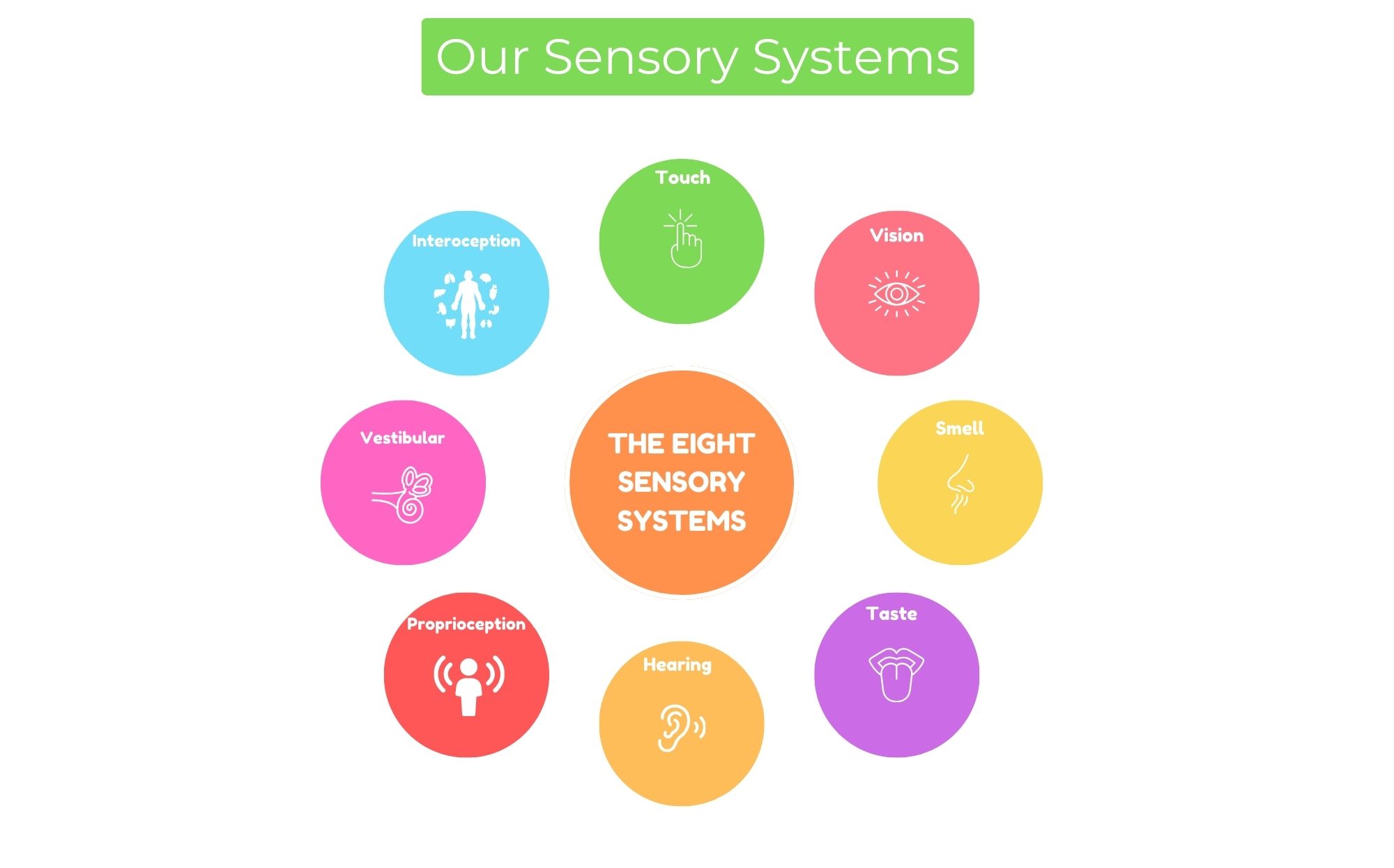 What is Sensory Processing? — Cooee Speech Pathology